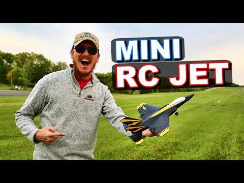Mini F-35 Lightning Warbird Jet - Flybear F35 320mm - TheRcSaylors